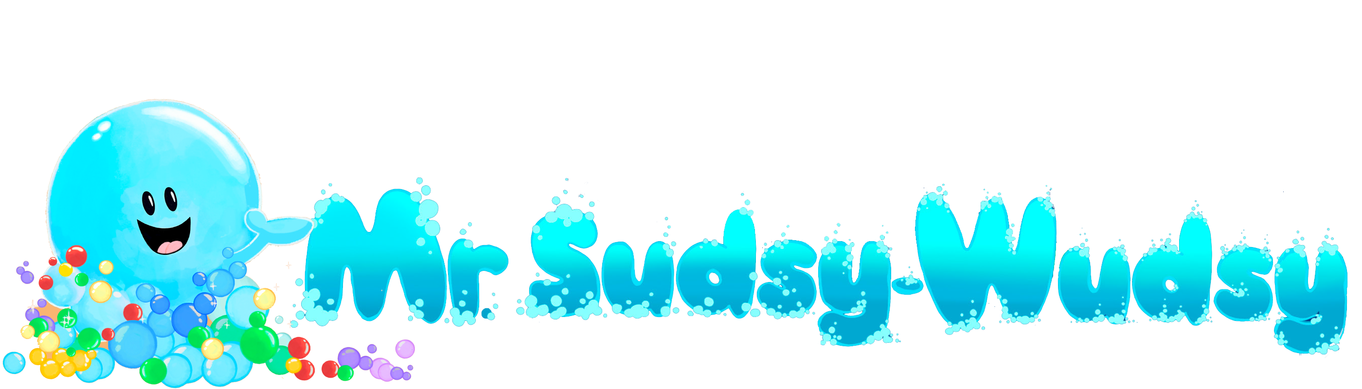 HOME | Mr. Sudsy-Wudsy